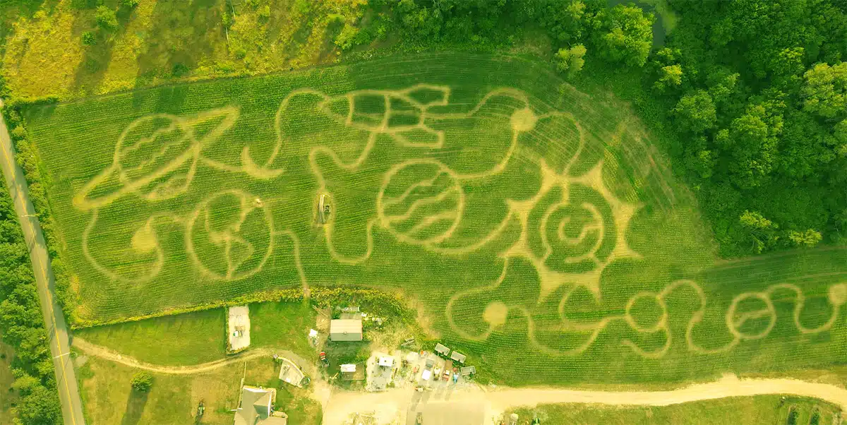 Discover Fall Farms and Festivals in Central Massachusetts