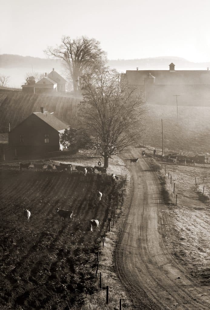 The Last of the Vermont Hill Farms | Photo Essay