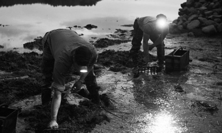 Classic Photos of Rural Maine in the '40s and '50s