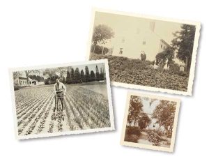 Tuttle's Family Farm | House for Sale - New England