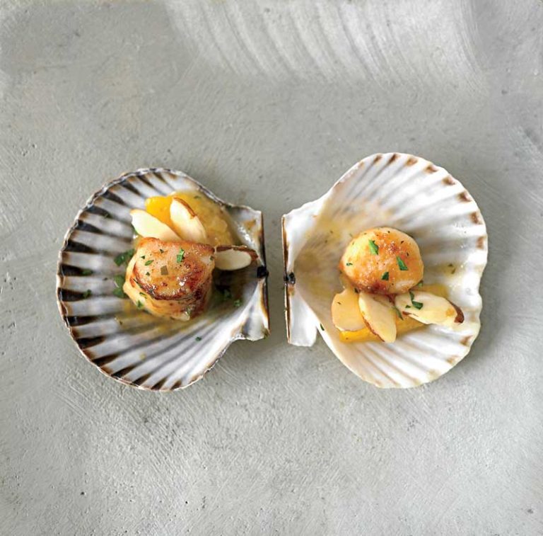 New England Scallops - New England