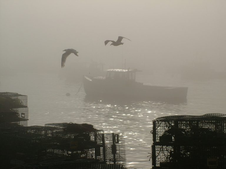Dusky Harbor - New England