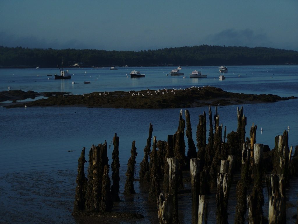 Early Morning - New England