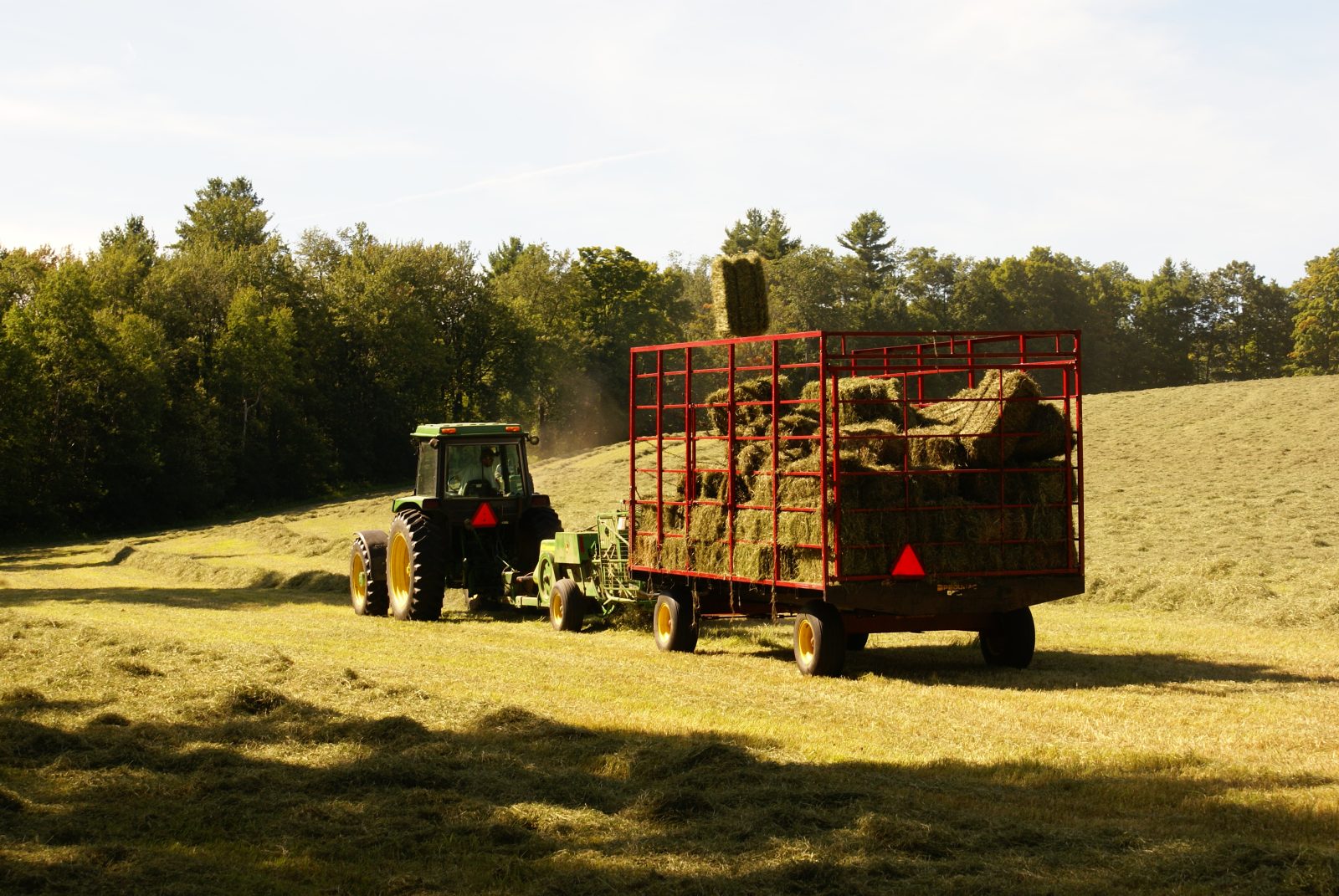 Baling Hay - New England