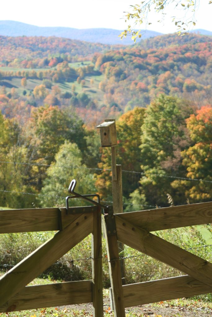 Gate To Fall