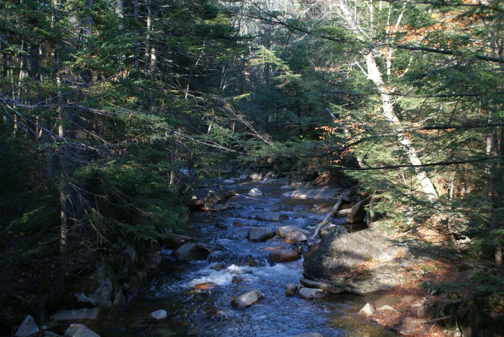 Peaceful Sounds Of Running Water