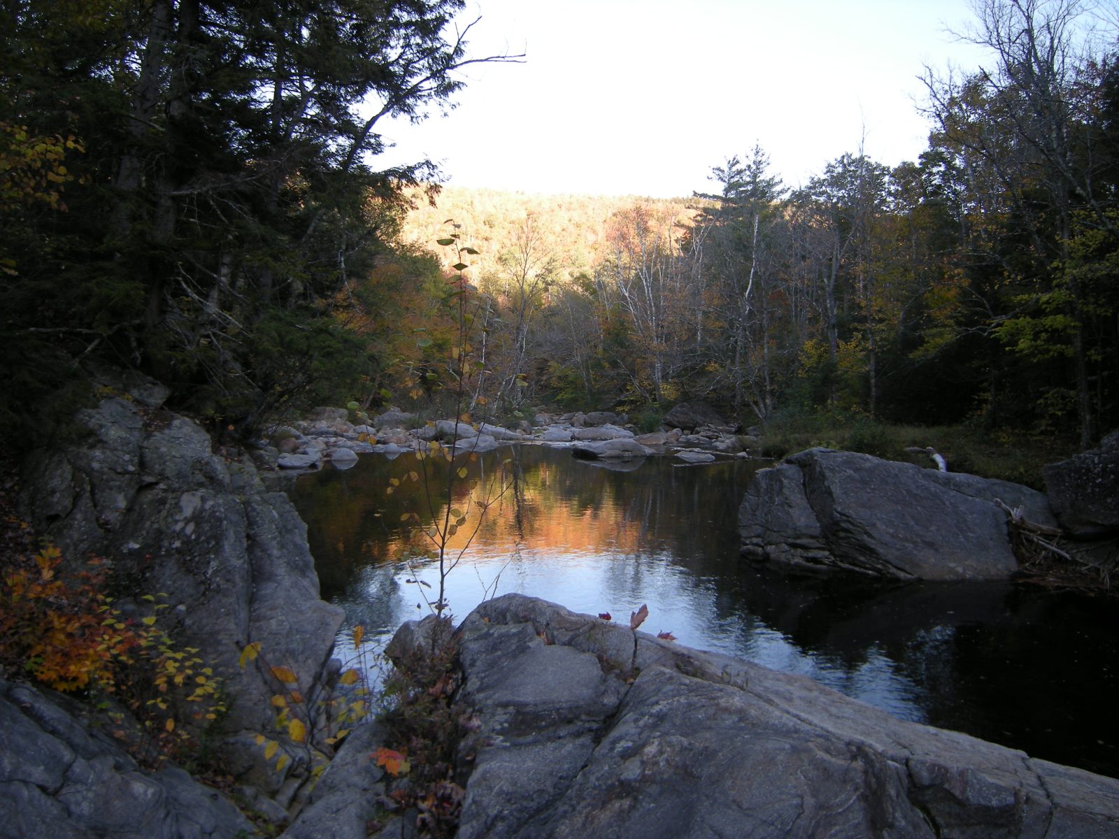 Reflection Of Peace