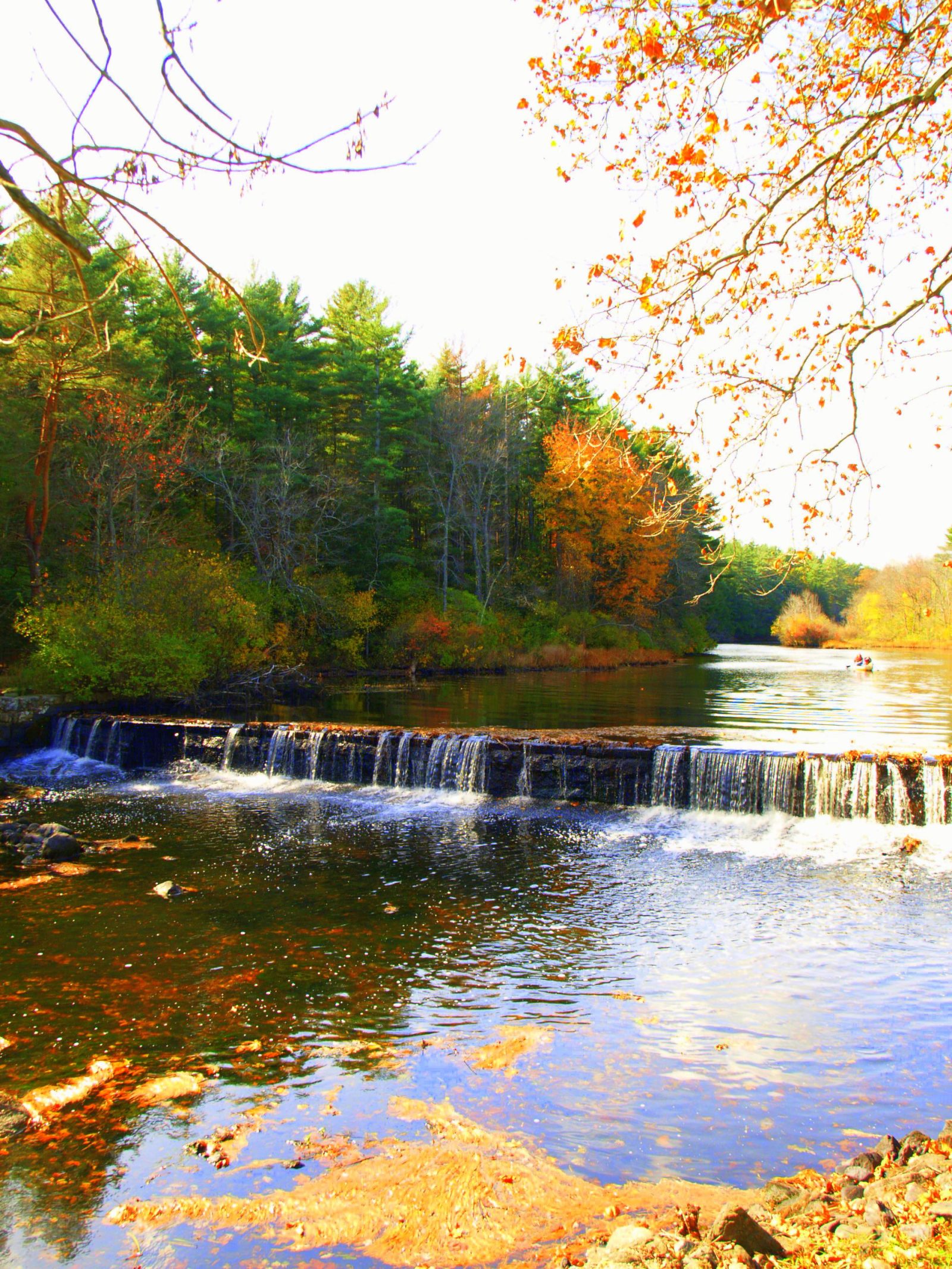 Waterfall Reflections