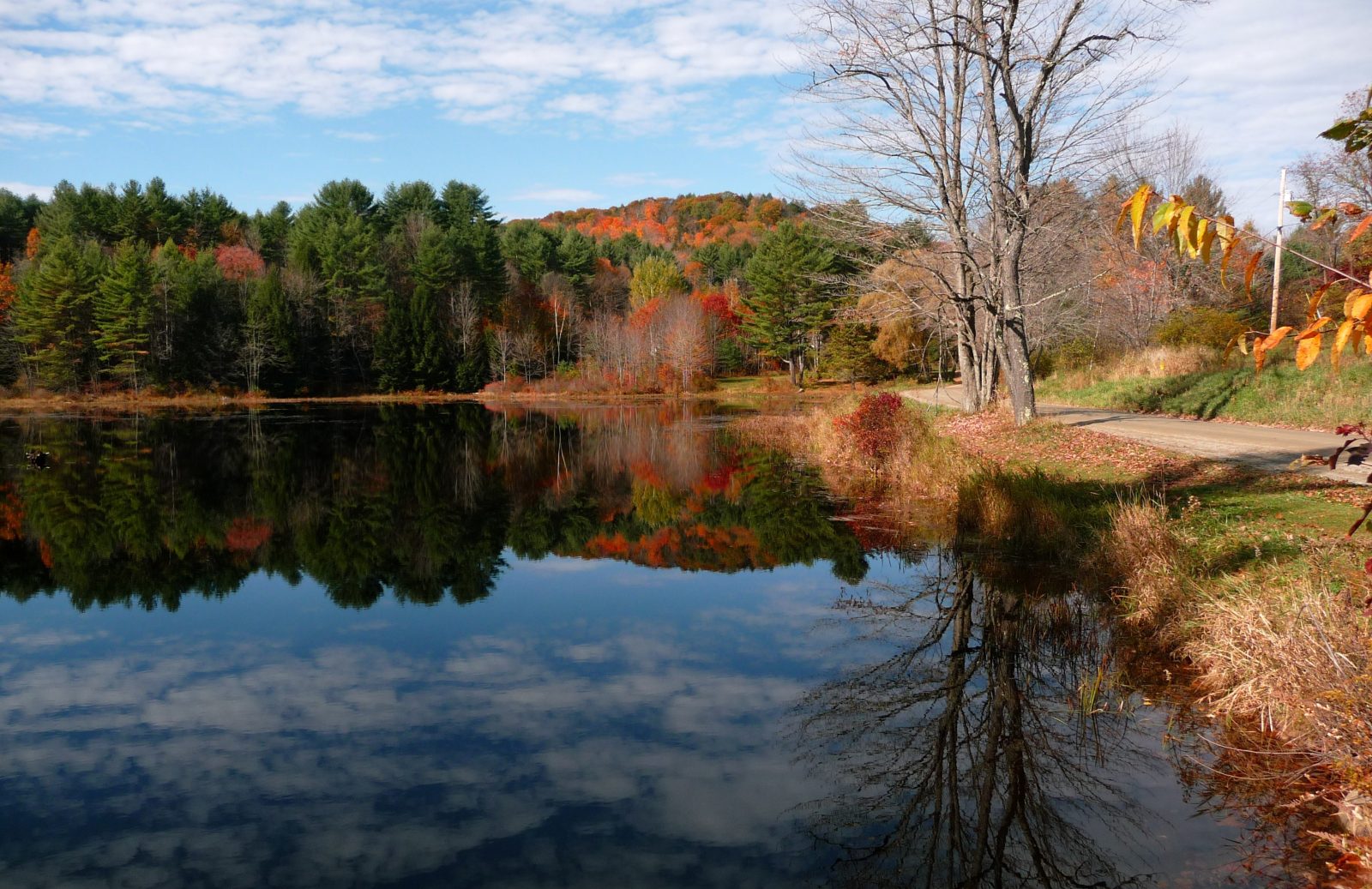 Hidden Valley Pond