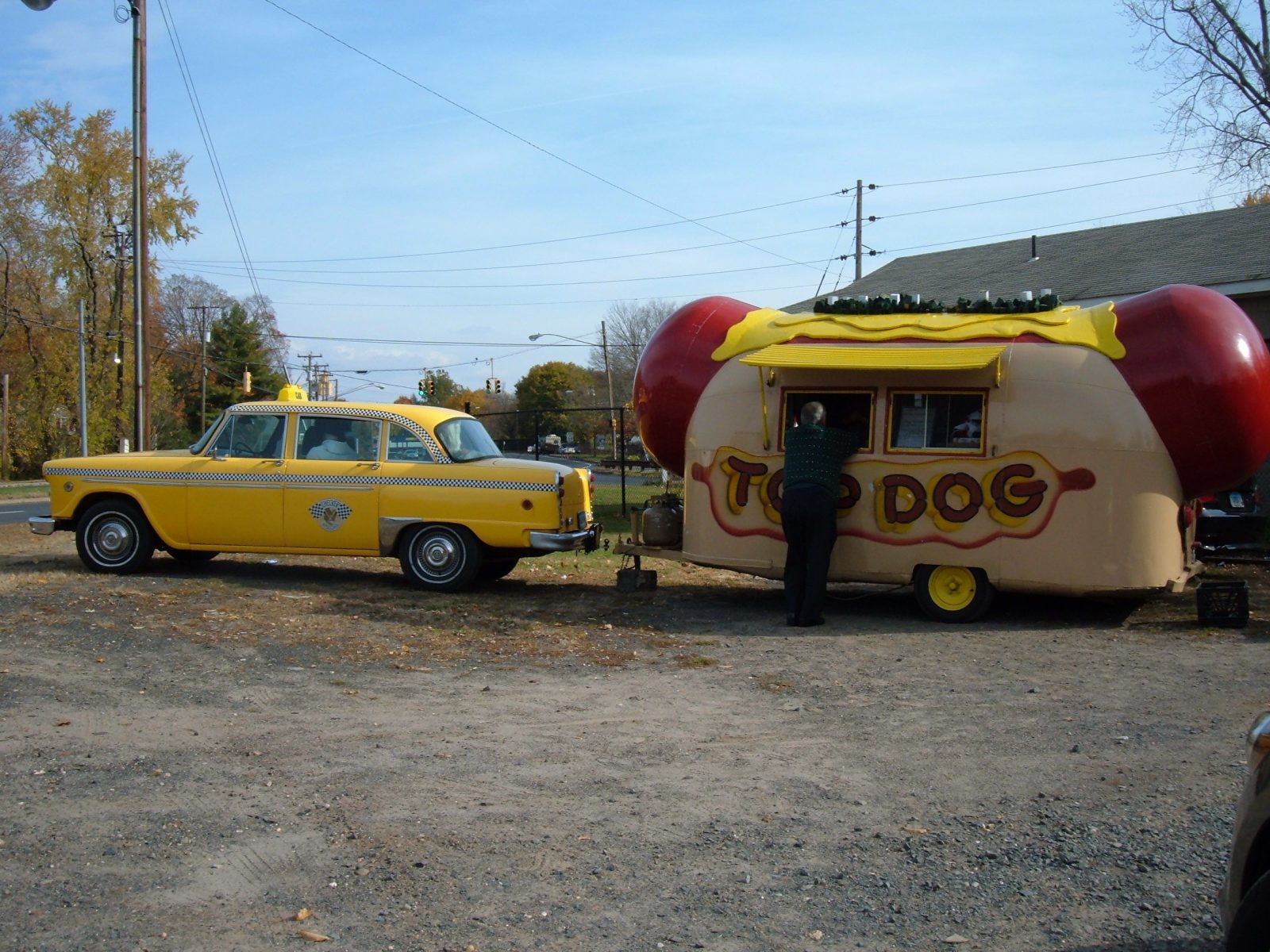 Top Dog
