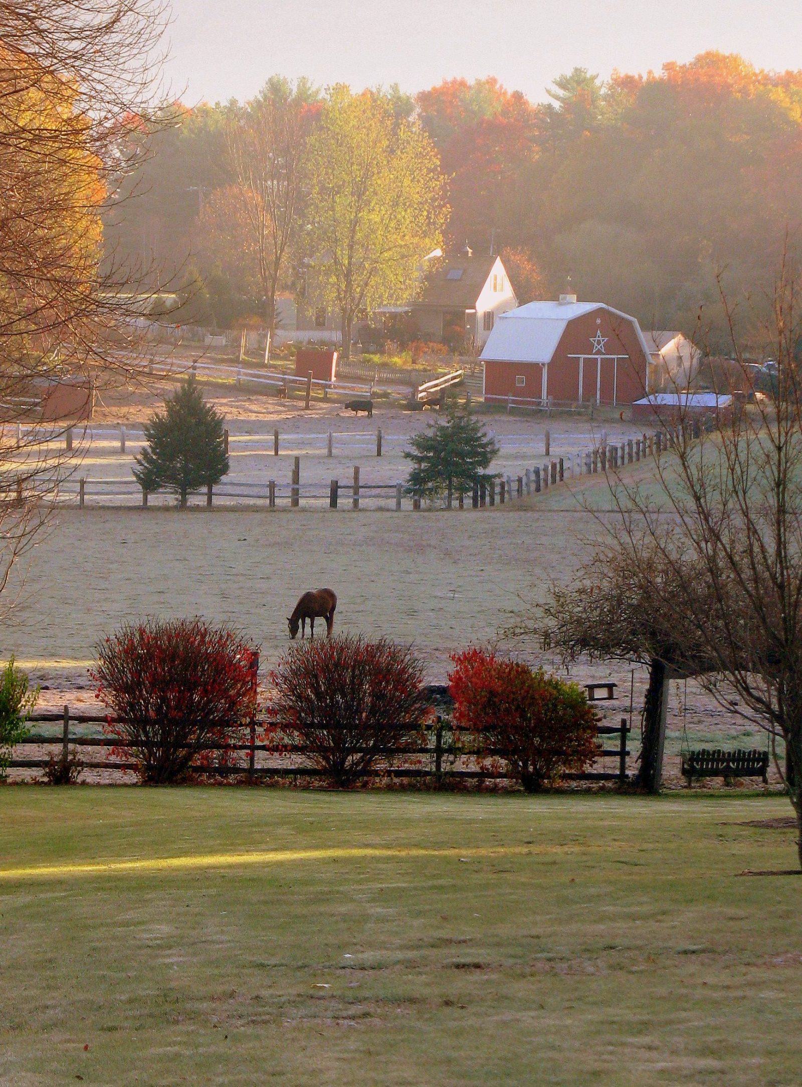 Southampton Country Farm