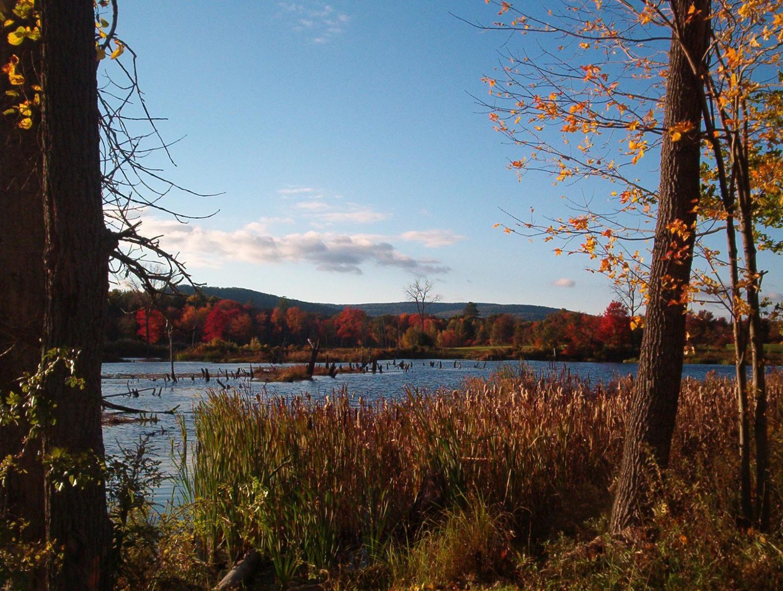 Buck Pond - New England