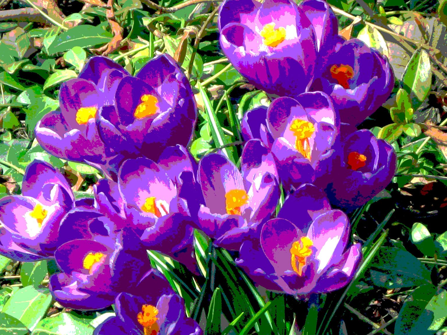 Hope Of Spring