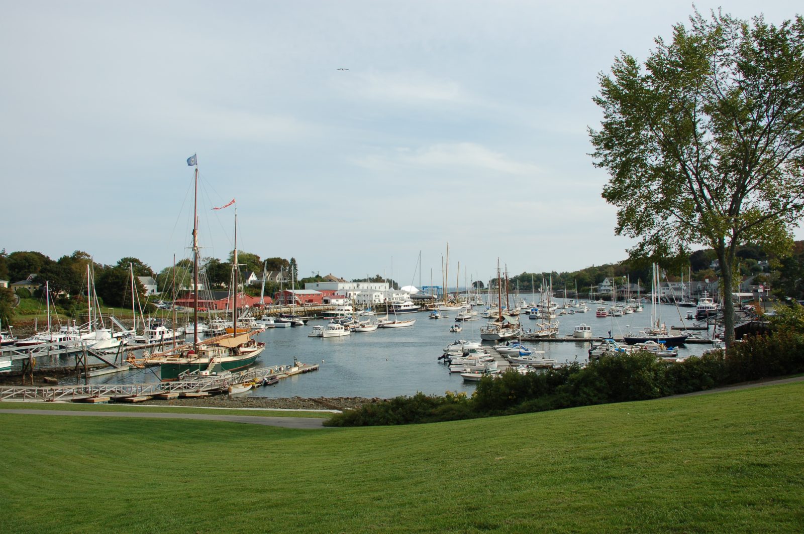 Camden Harbor