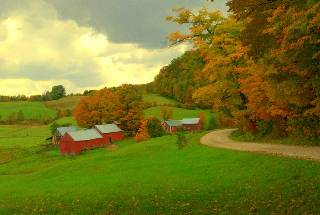 Jenne Farm