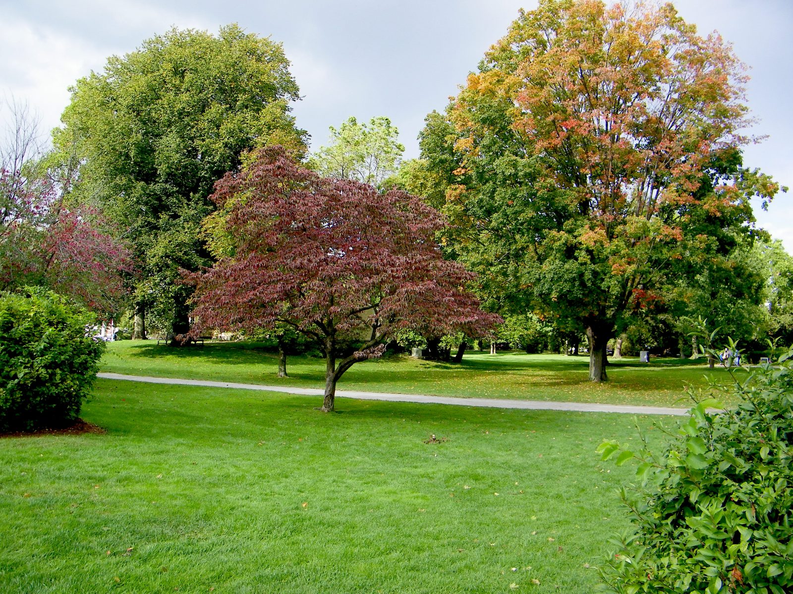 Lexington Fall