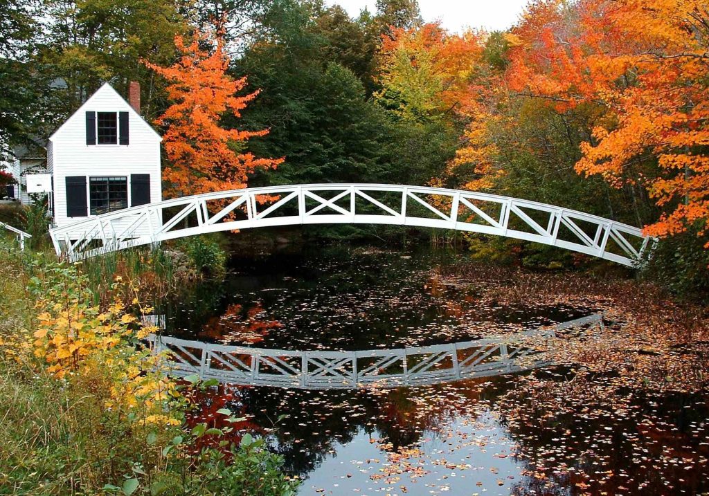 Foot Bridge Over Leaf Covered Pond
