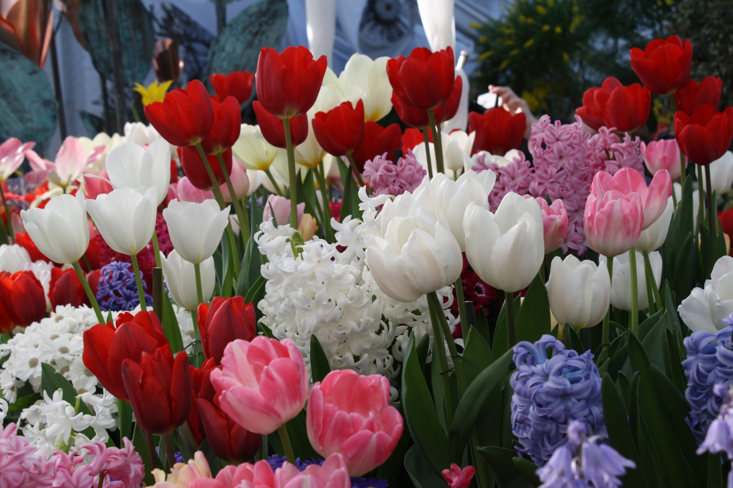 Spring Bouquet New England