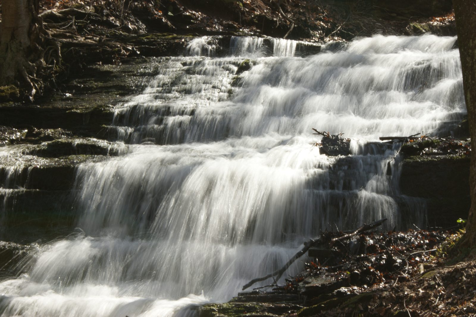 Little Falls