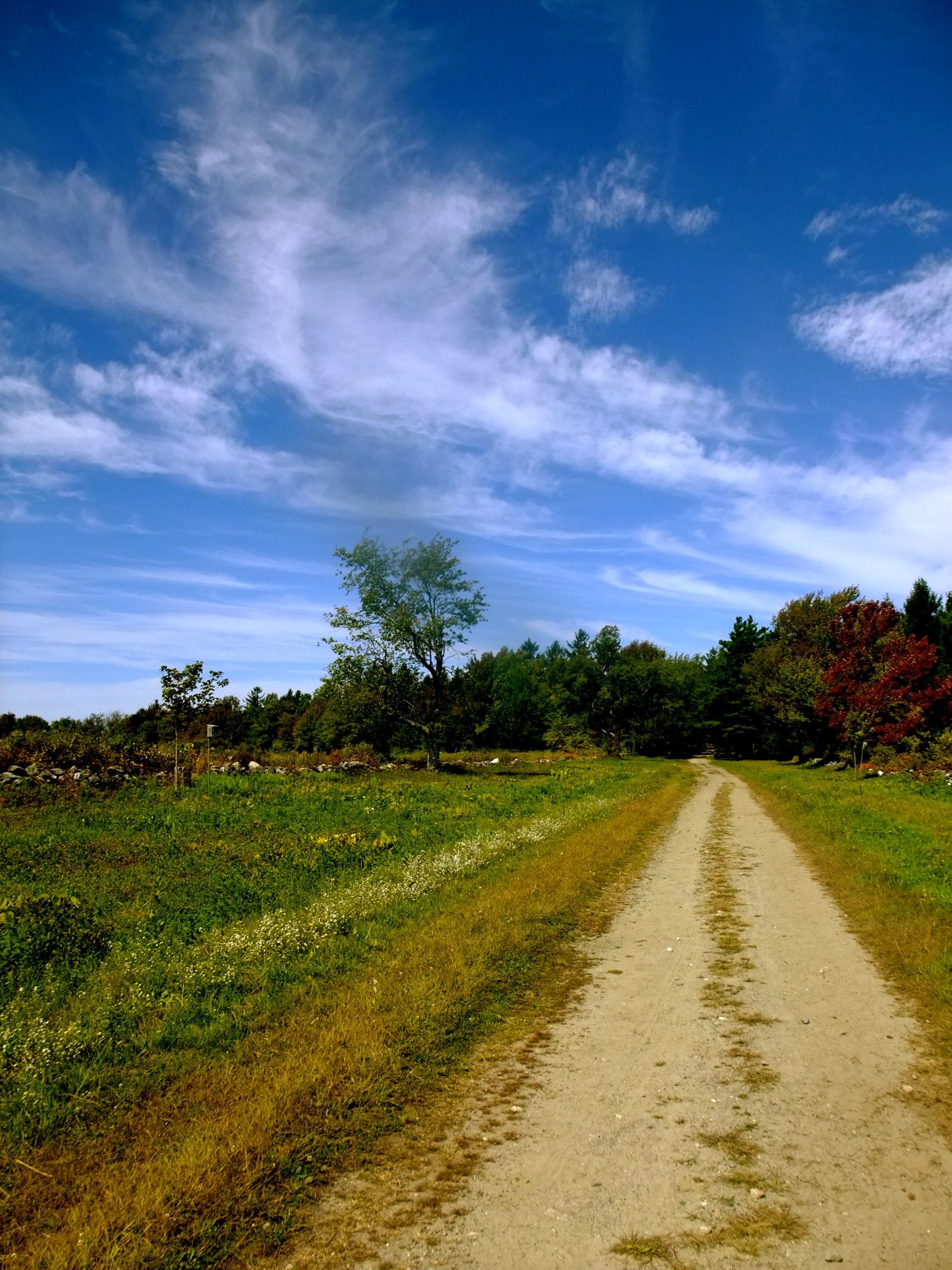 Walking Trail New England