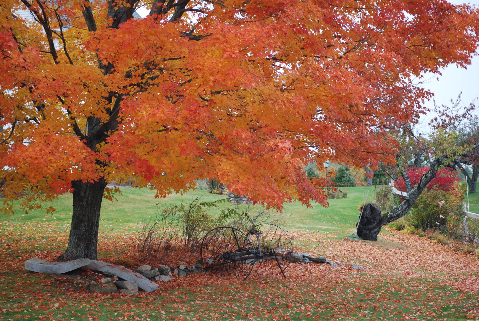 Fall Photo Contest 2010