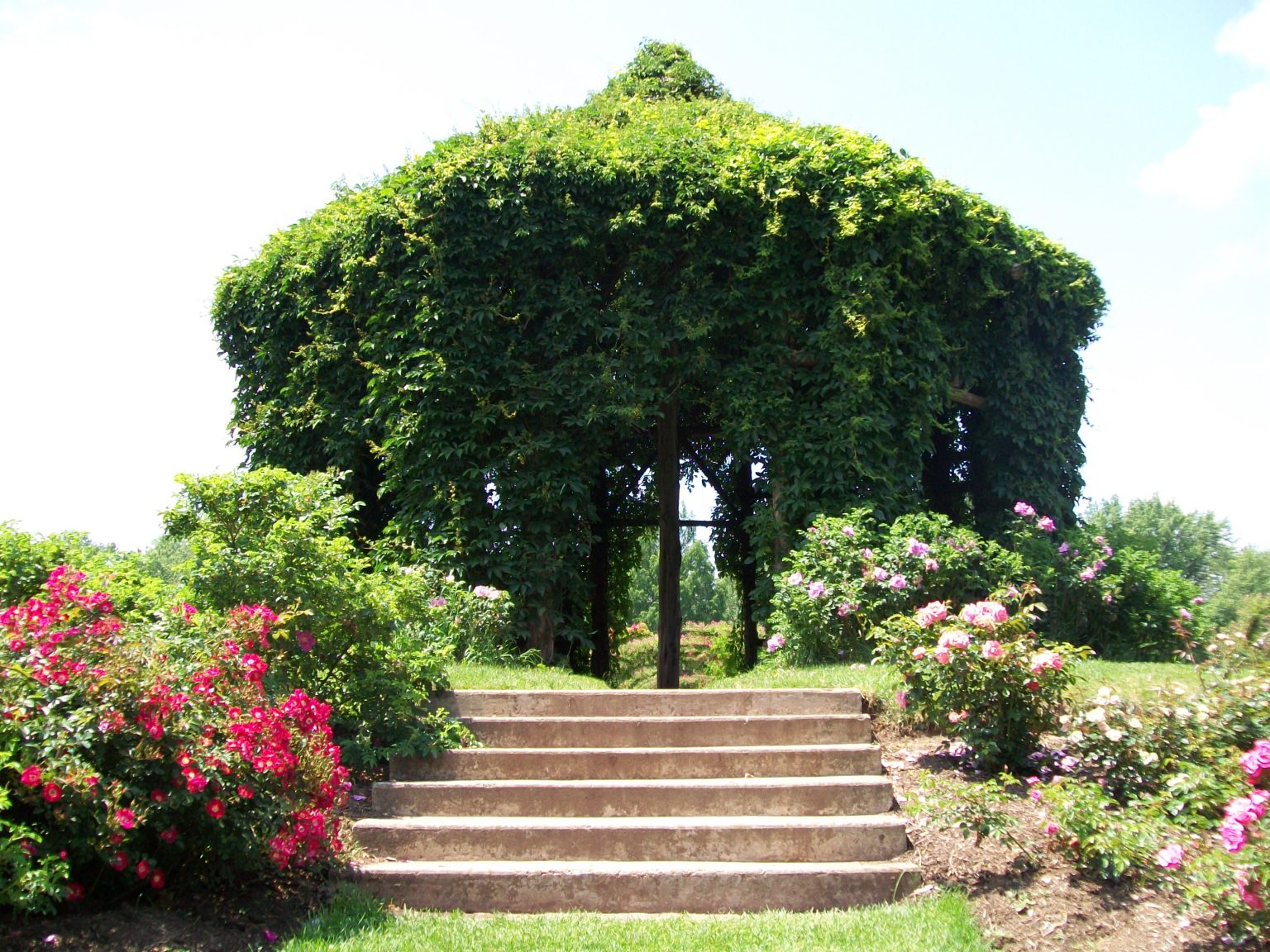 Leaf Hut