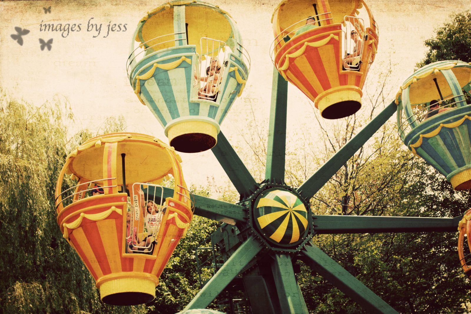 Story Land