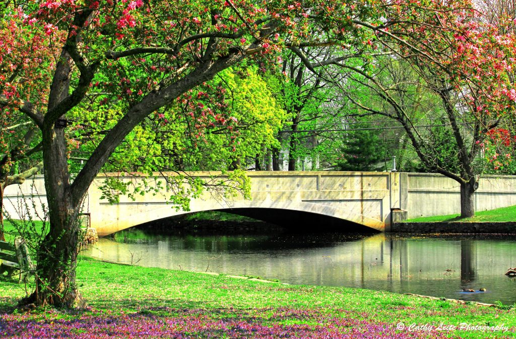 Milford Duck Pond Bridge