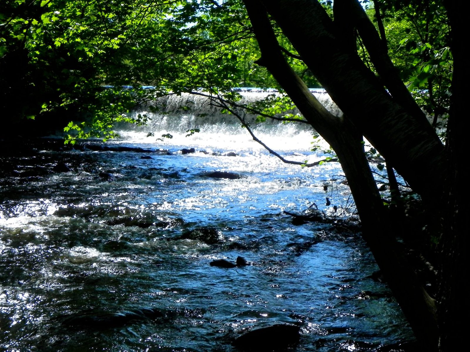 Accidental Waterfall