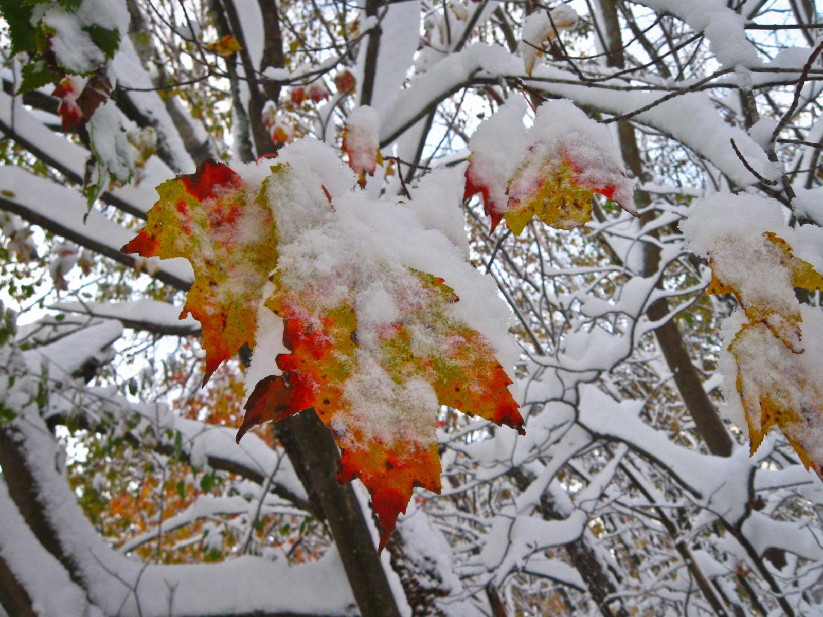 New England Weather Changes Quick - New England