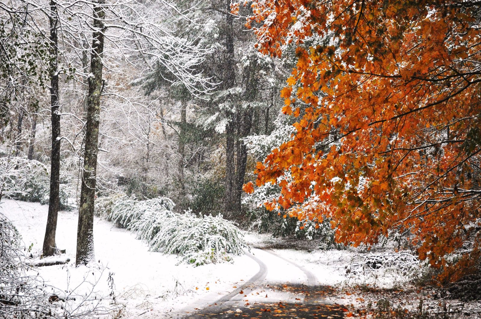 New England Weather - New England