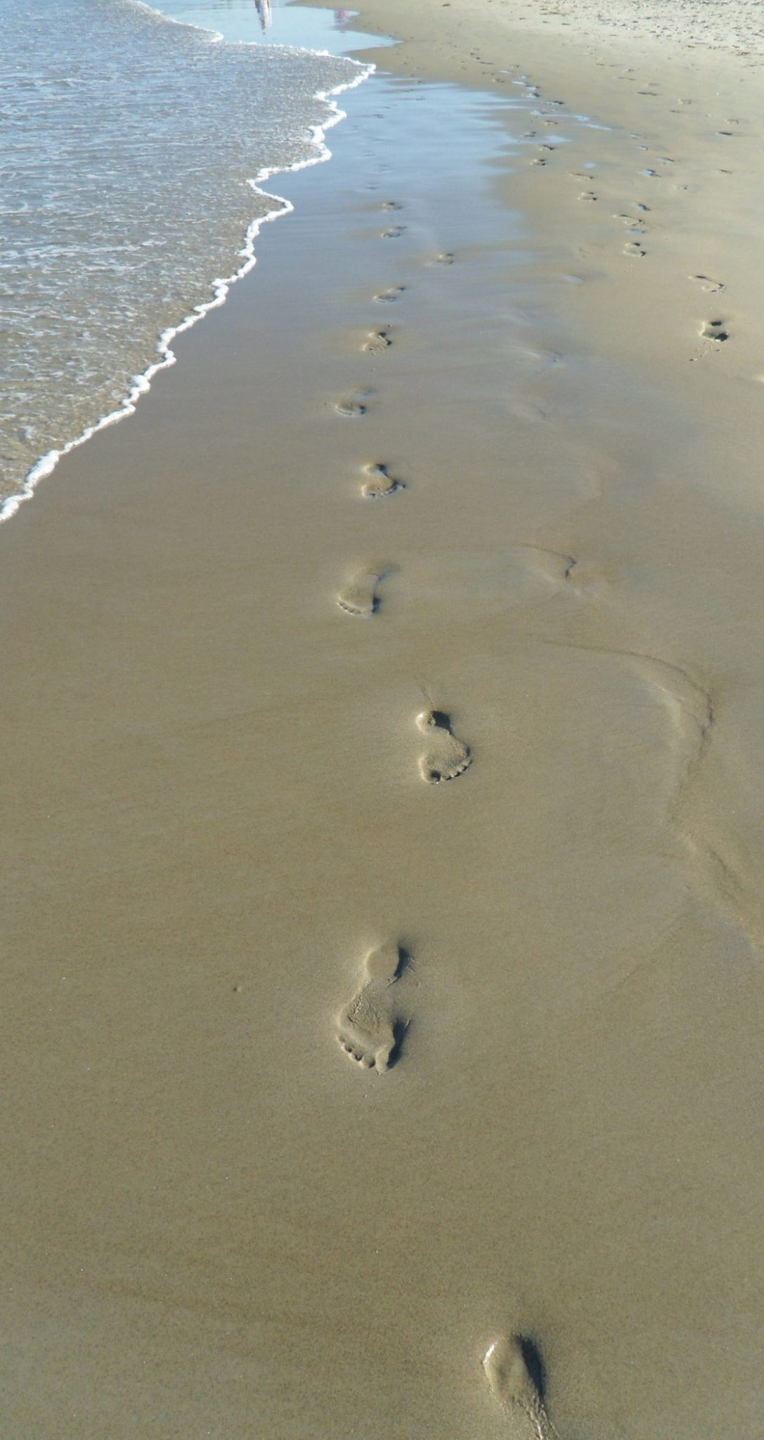 Sandy Trail