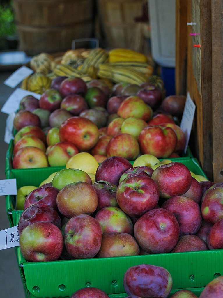 Crunchy Apples - New England
