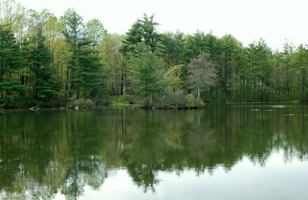 Brickyard Pond In Spring - New England