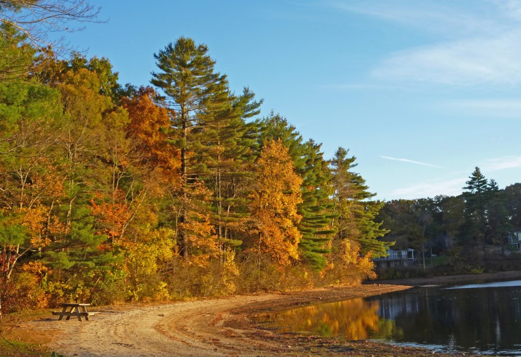 Quaddick State Park