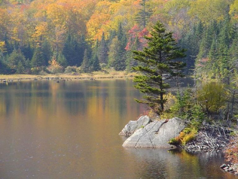 Beaver Pond - New England