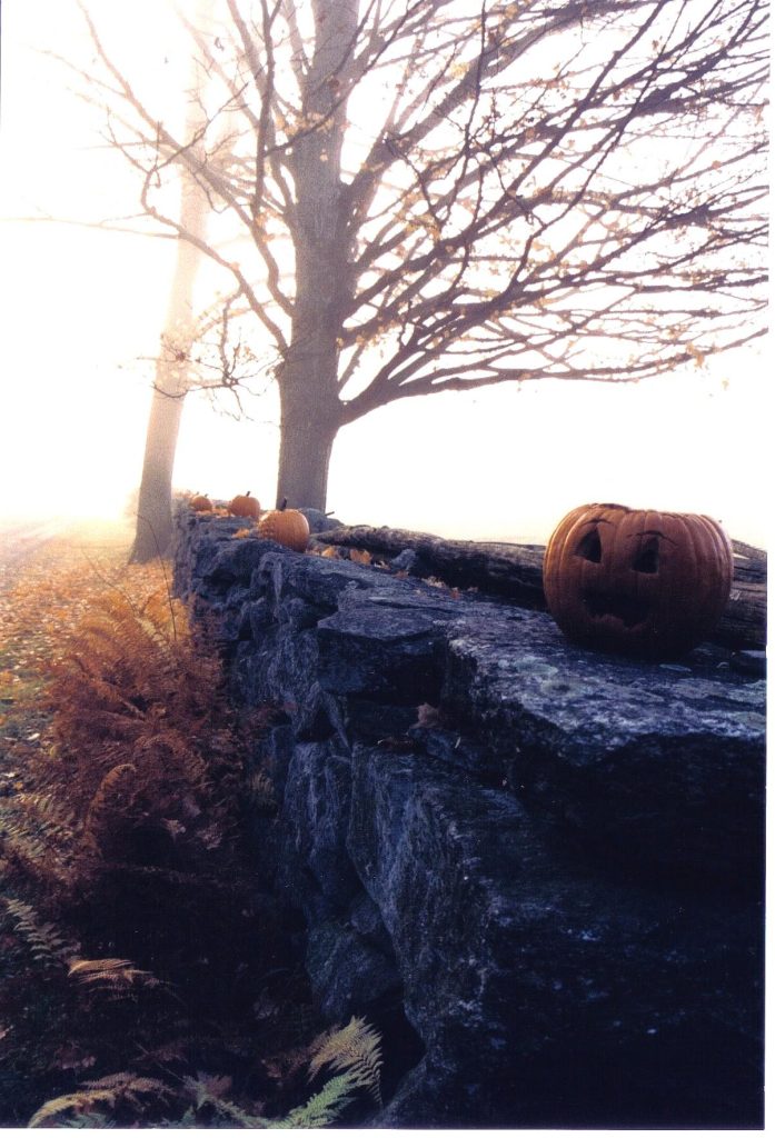 Aging Carved Pumpkins