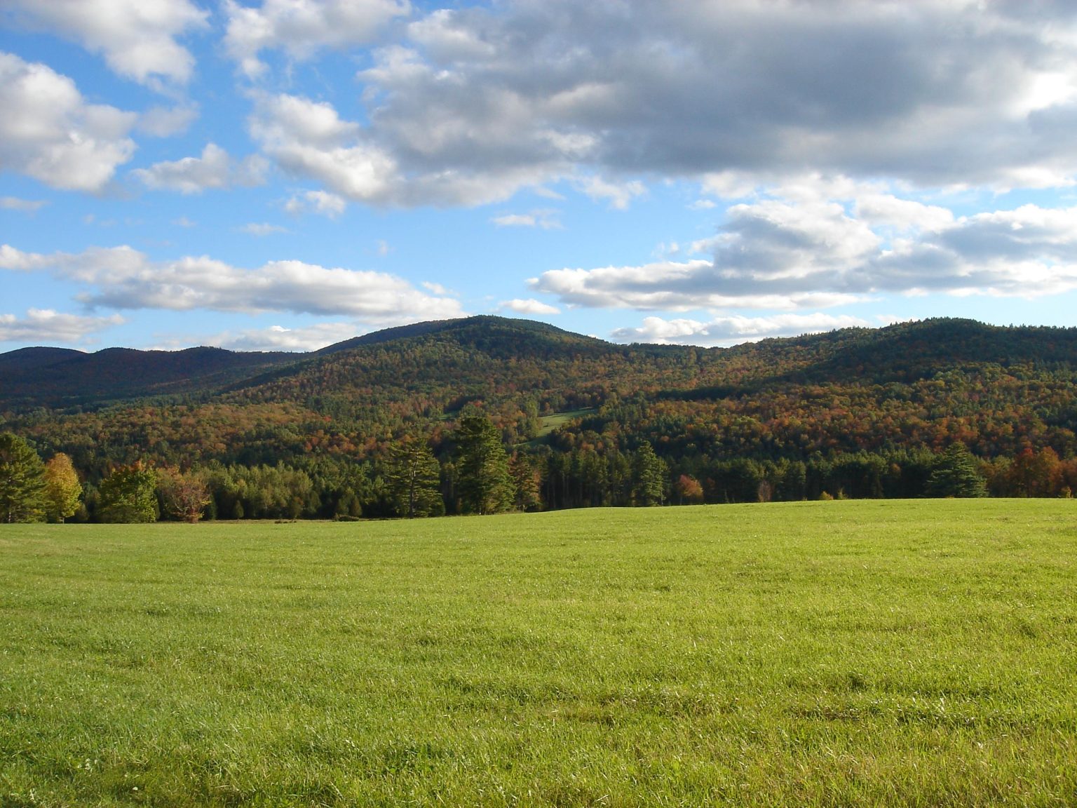 Landaff Field - New England