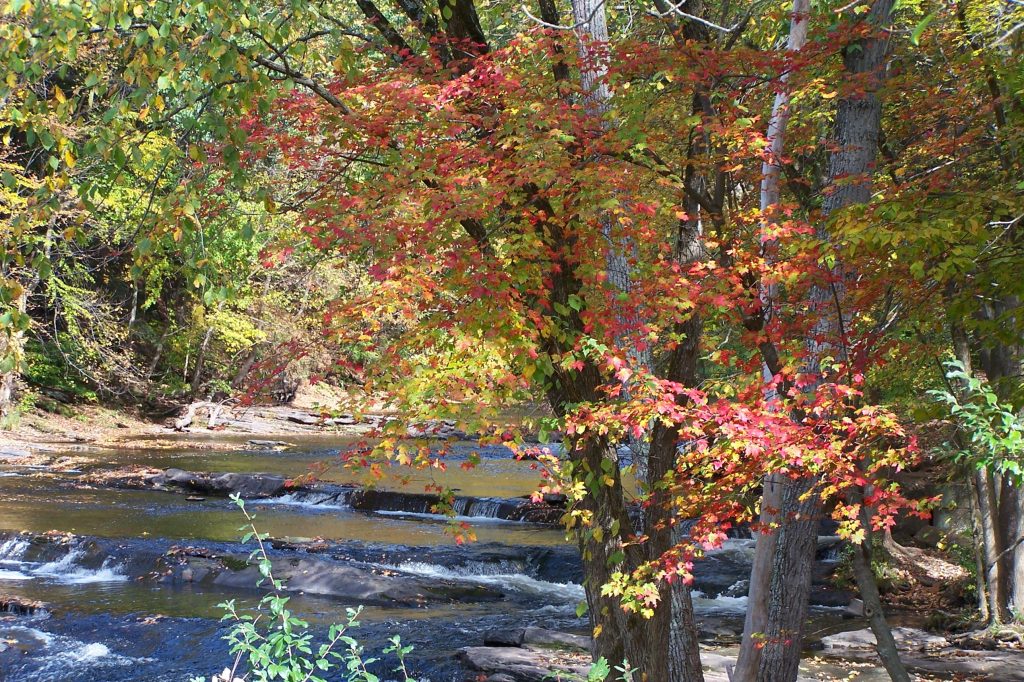 Scantic River Falls