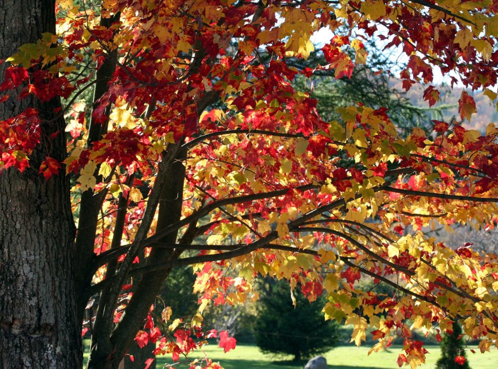 Colors Of October