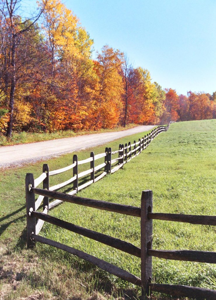 Fall Field Near Middlebury, Vt