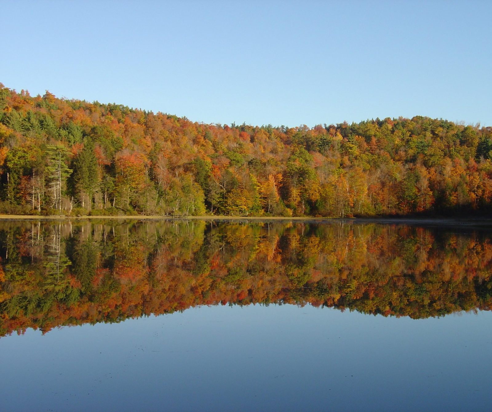 Autumn Reflection on the Pond - New England
