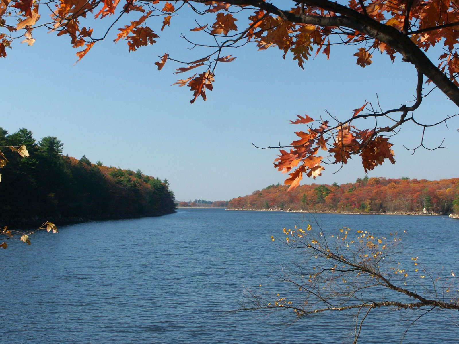 Fall Day on Walden Pond