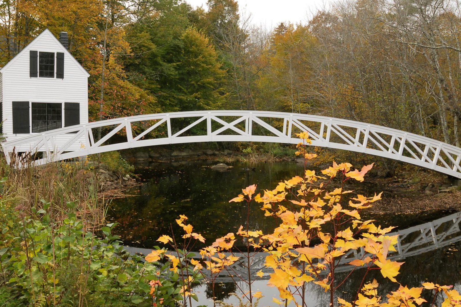 House with Bridge