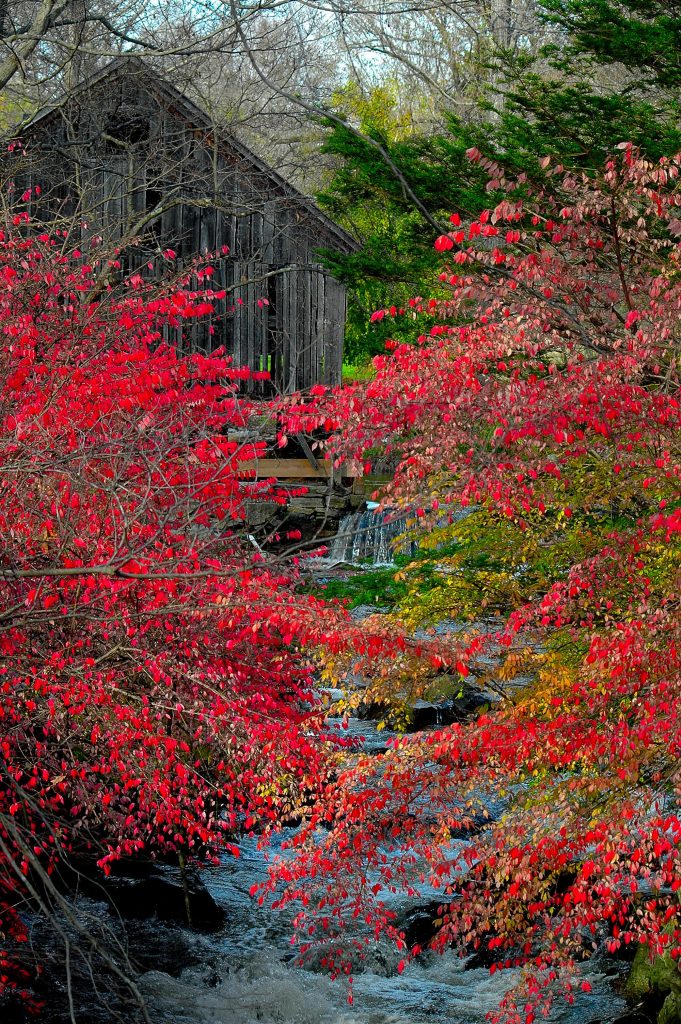 The Old Mill