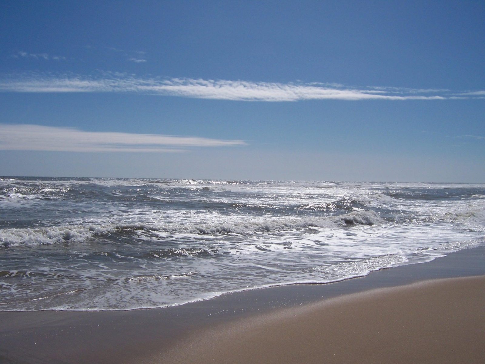 Beachscape