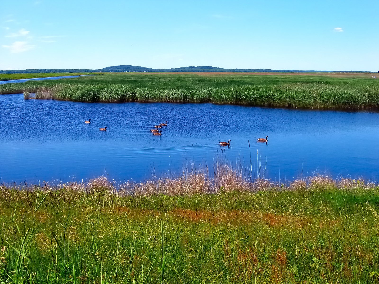Spring at Parker River