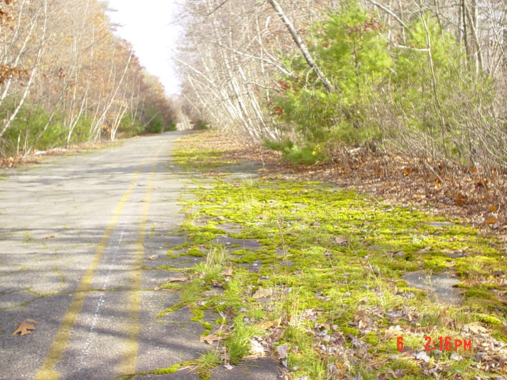 Old Rte 128 - New England