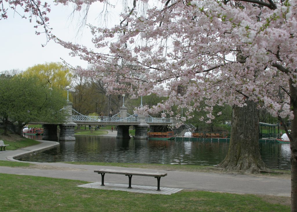 Spring Has Arrived in Boston - New England