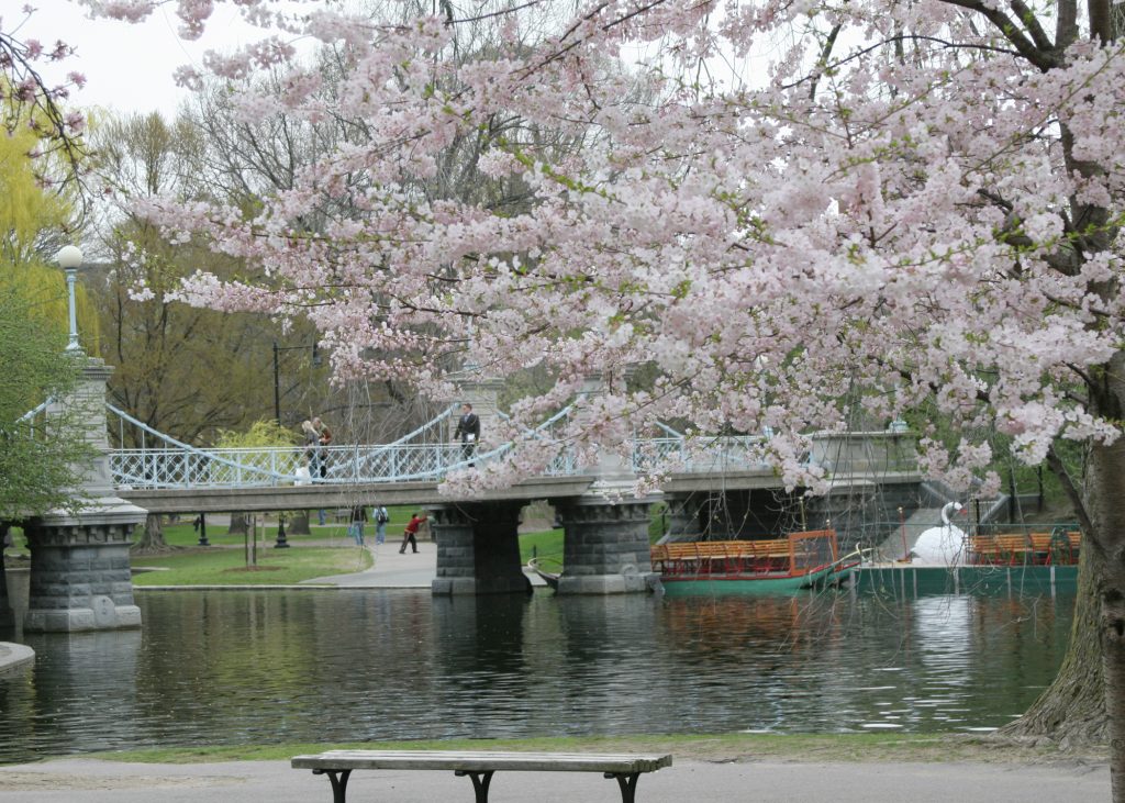 Spring in Boston - New England